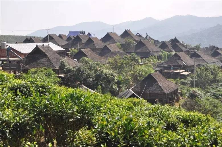 Pu-Erh Jingmai "Mennyei harmónia" 天韵 Tiānyùn sheng - Tea Akadémia ...